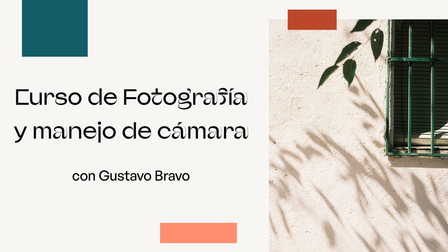 El enfoque manual y el autofoco en fotografía - Jardin Remoto