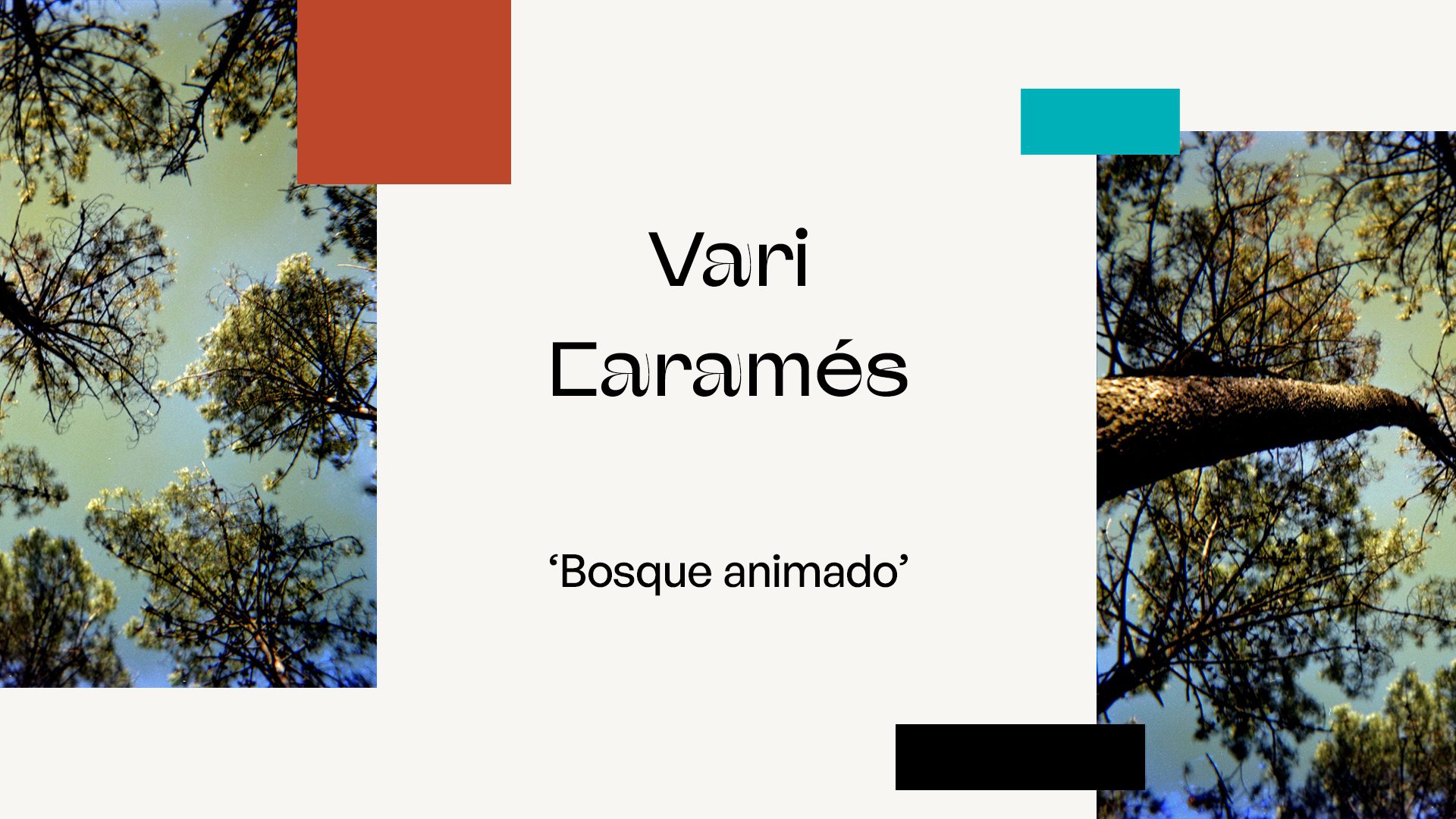 Fotolibro de Vari Caramés 'Bosque animado' - Jardin Remoto