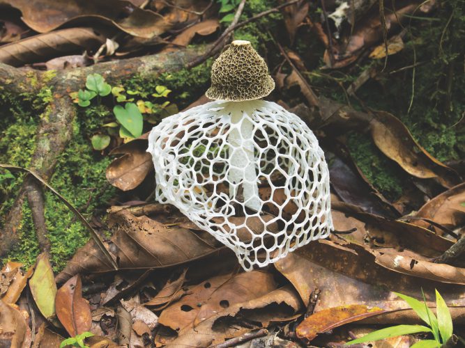 Blume edita en español el manual sobre fotografía en blanco y negro de ...