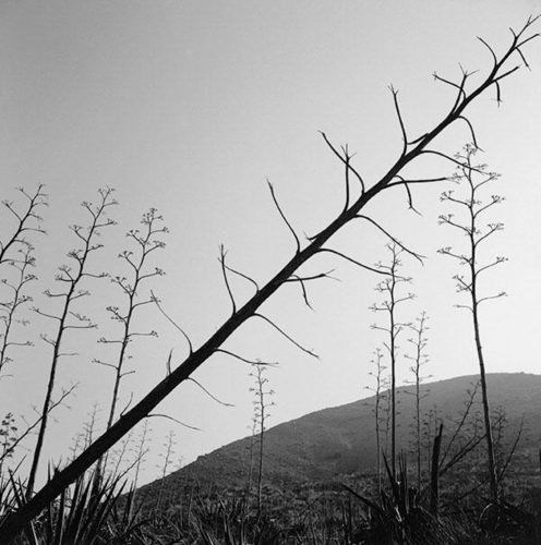Fundación Photographic dedica una exposición a Ferran Freixa en la ...